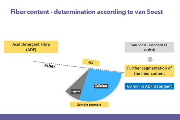 The Essential Role of Fiber Analysis in Feed Formulation | A Complete Guide